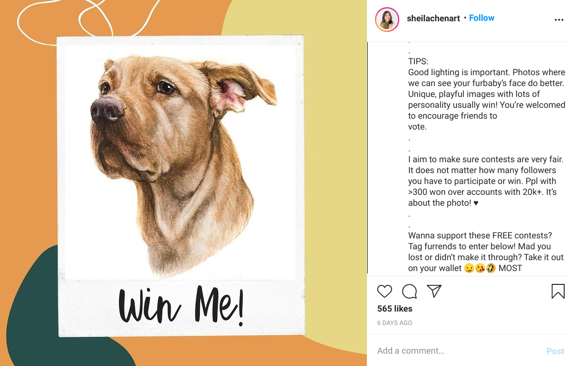 11 Essential Instagram Contest Rules to Follow to Avoid Legal Trouble ...