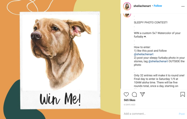11 Essential Instagram Contest Rules to Follow to Avoid Legal Trouble ...