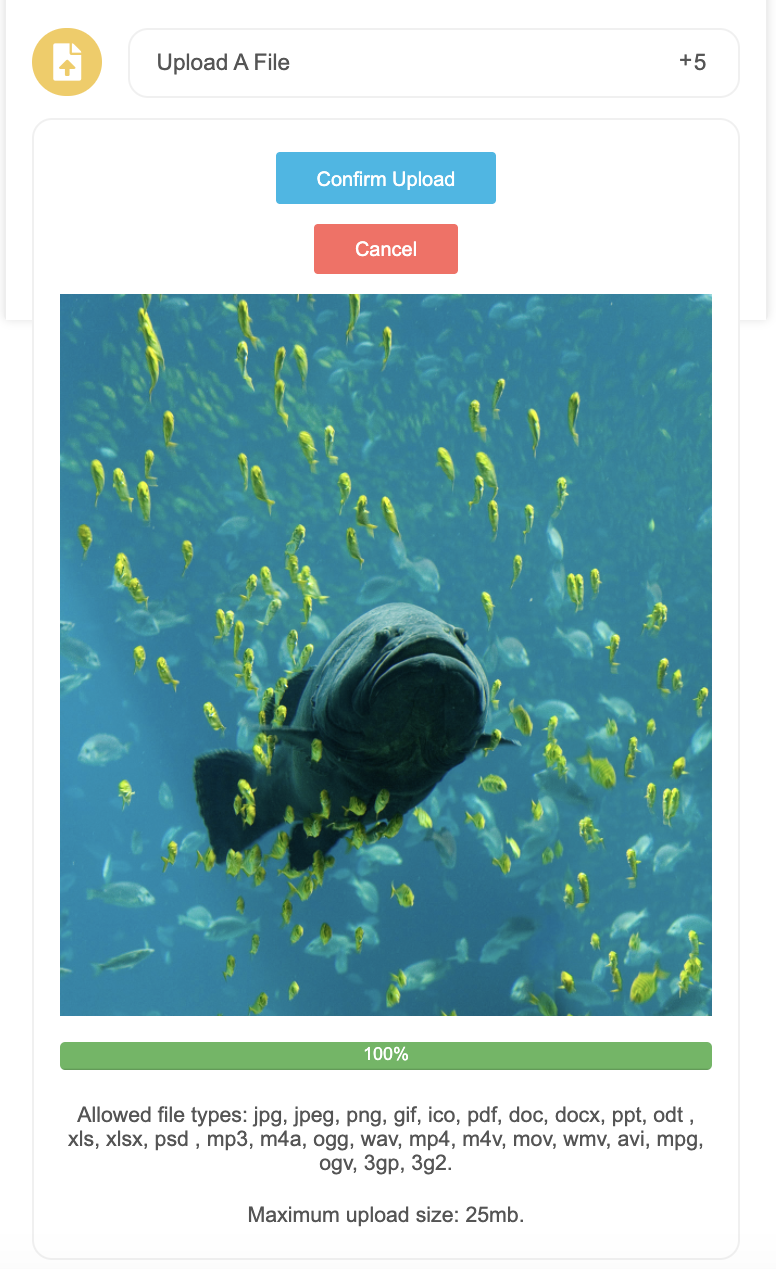 Upload A File Entry Method | SweepWidget